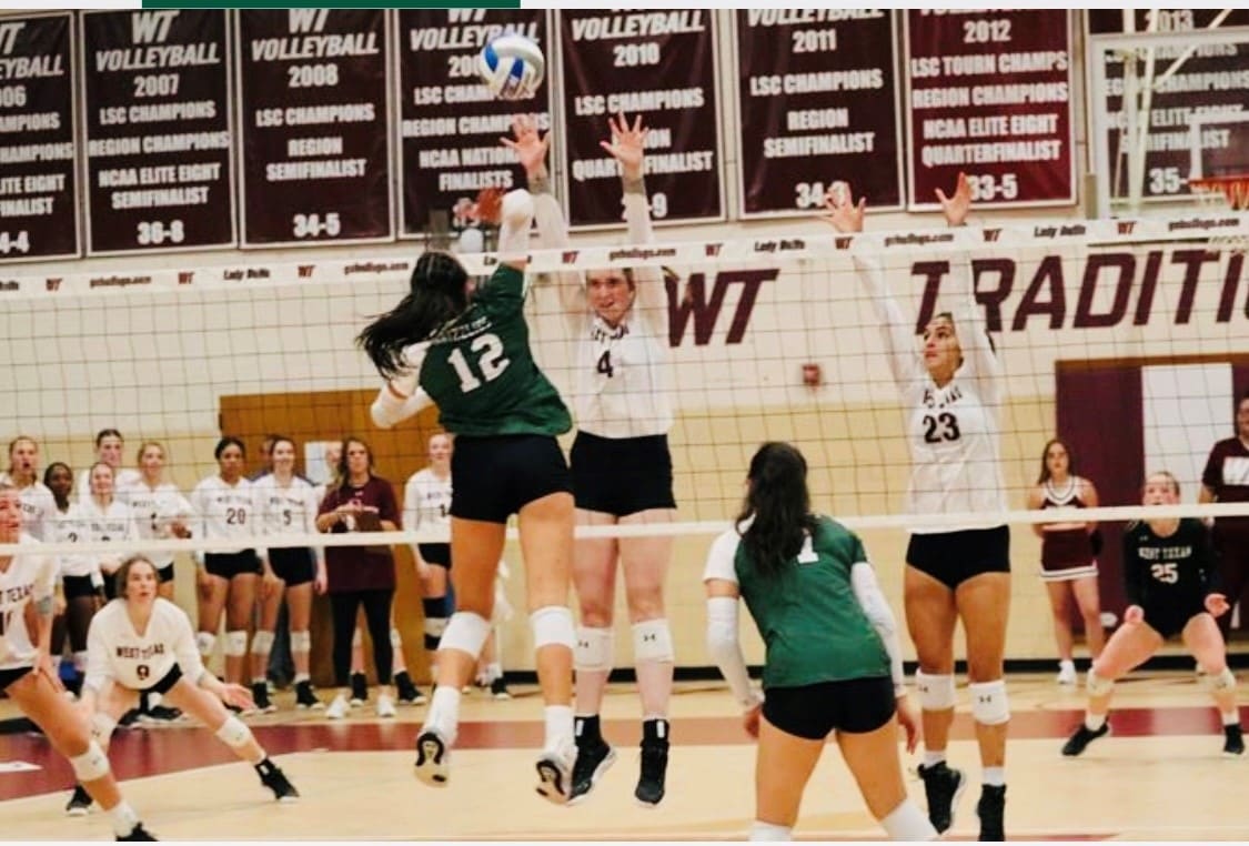 The Competitive Spirit of Volleyball - Gold Crown Foundation